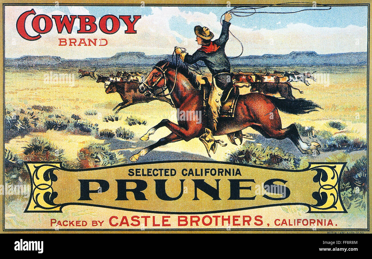 COWBOY HERDING CATTLE. /nLithograph fruit-crate poster, 1906, for ...