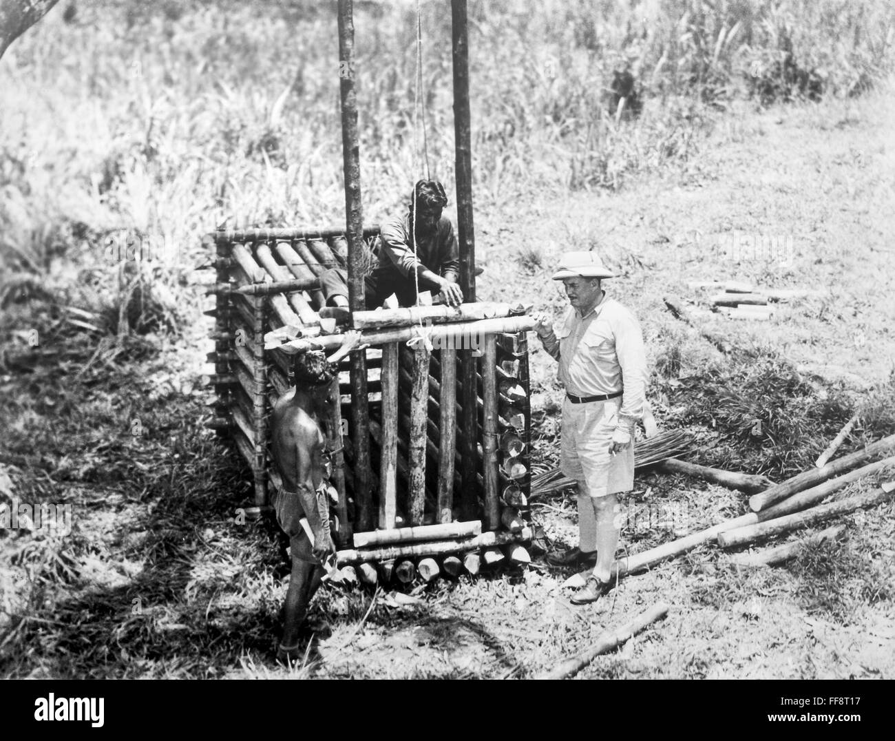 FRANK BUCK (1884-1950). /nAmerican hunter. Buck constructing a tiger ...