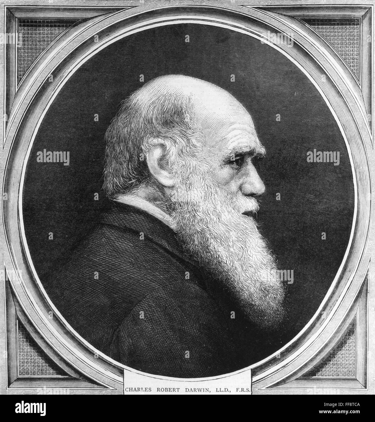 CHARLES ROBERT DARWIN /n(1809-1882). English naturalist. Wood engraving ...