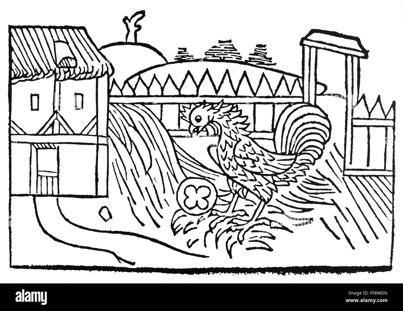 AESOP: COCK & GEM. /nWoodcut from a French edition, 1484, of 'Les ...