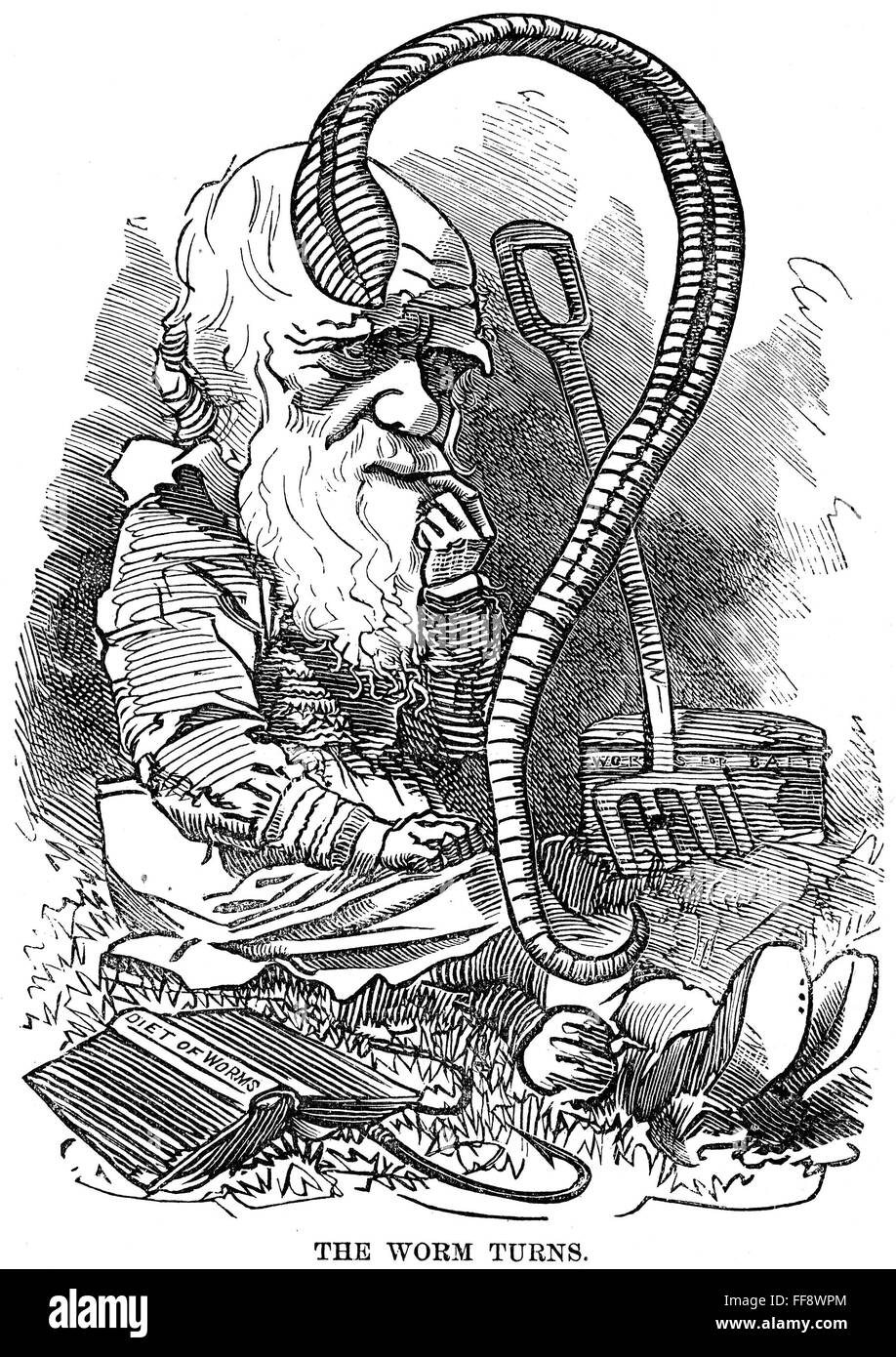 CHARLES ROBERT DARWIN /n(1809-1882). English naturalist. An 1882 ...