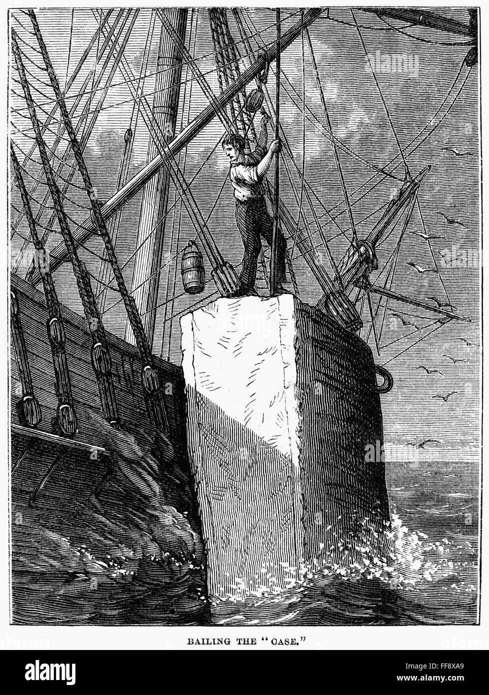WHALING, 1874. /n'Bailing the Case' - a technique that involves ...