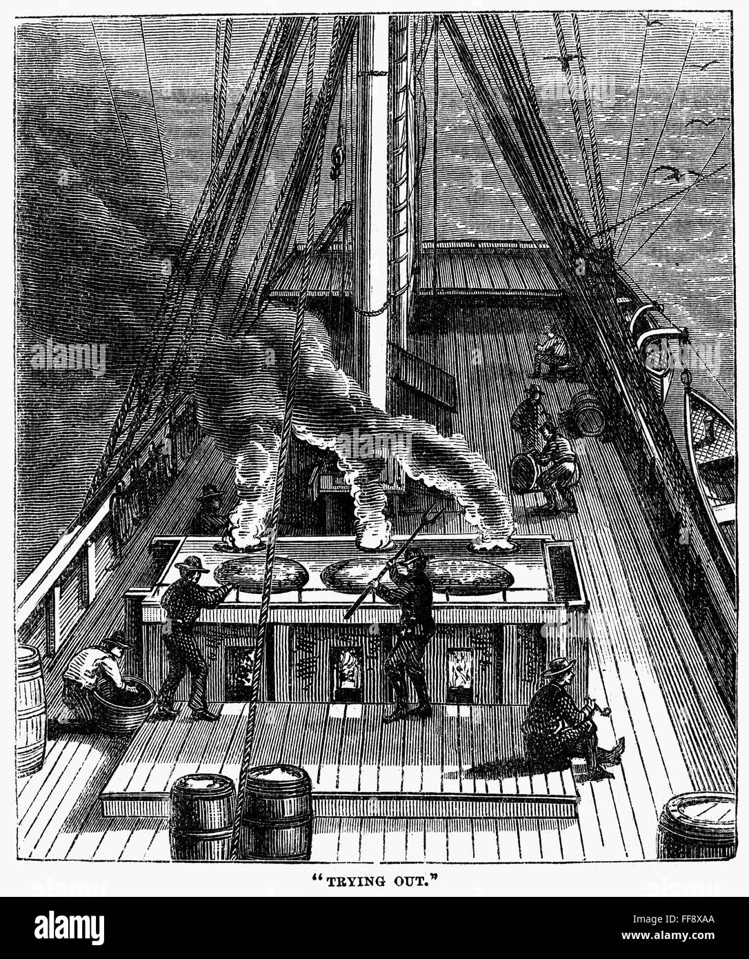 WHALING: TRYING OUT, 1874. /n'Try-works' or boilers set in brick on the ...