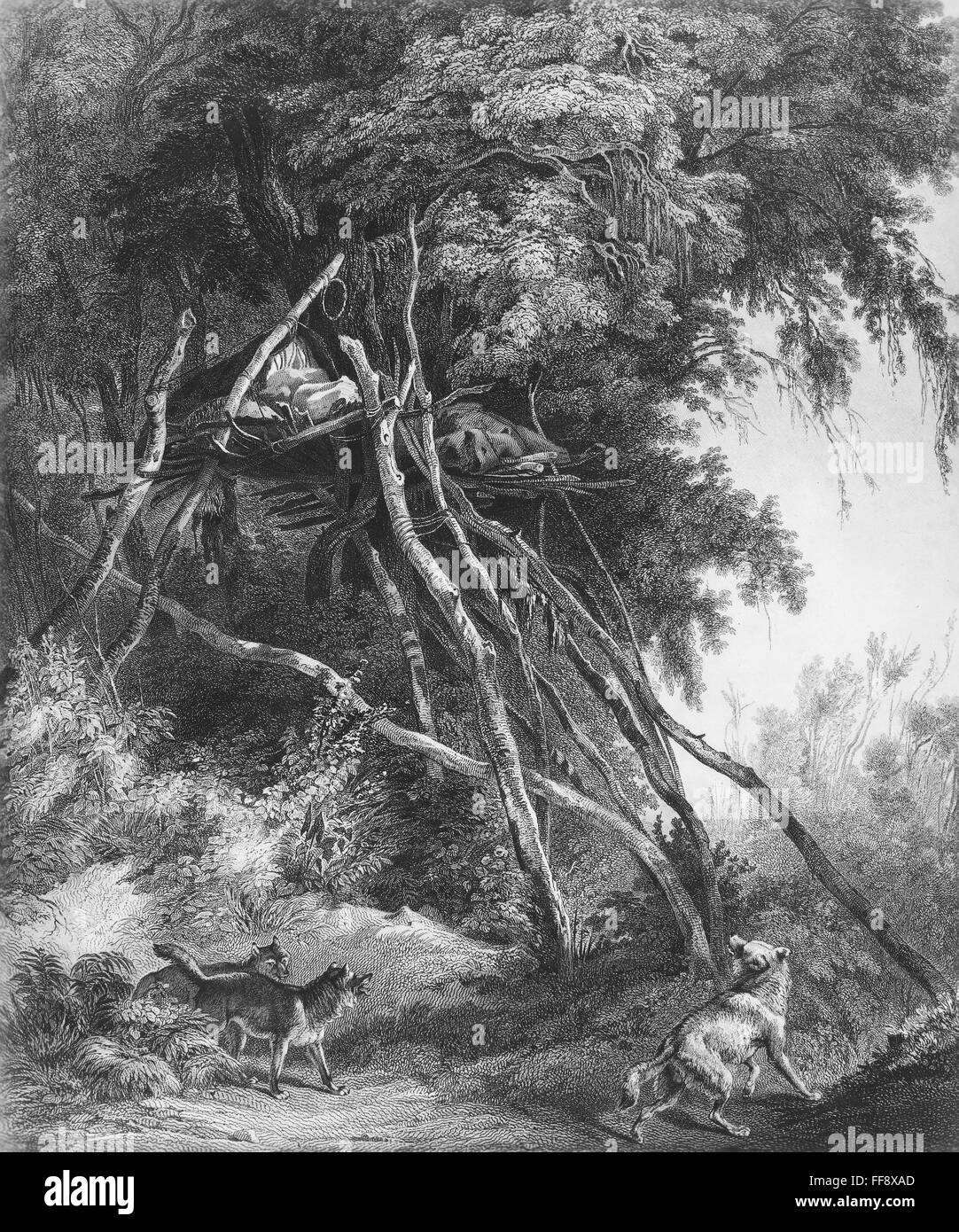 NATIVE AMERICAN TOMBS. /nTree-top tombs built by Assiniboin Native ...