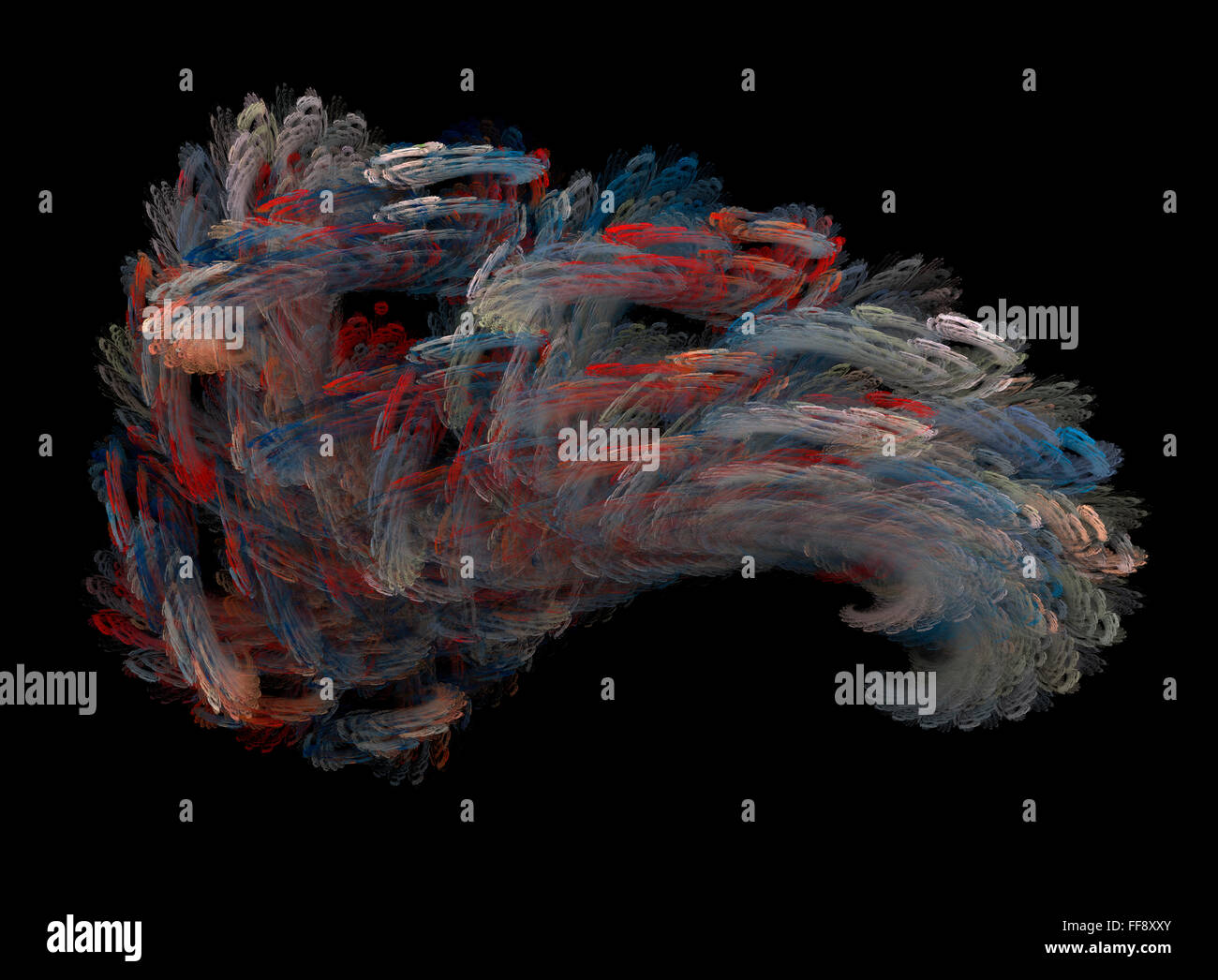 Distinctive head patterns hi-res stock photography and images - Alamy