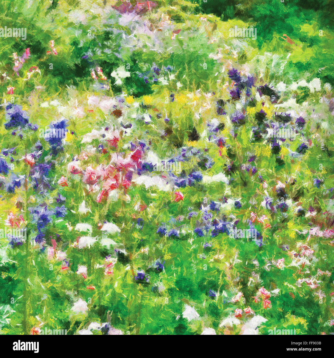Garden in bloom. Flowers in a garden setting Stock Photo - Alamy