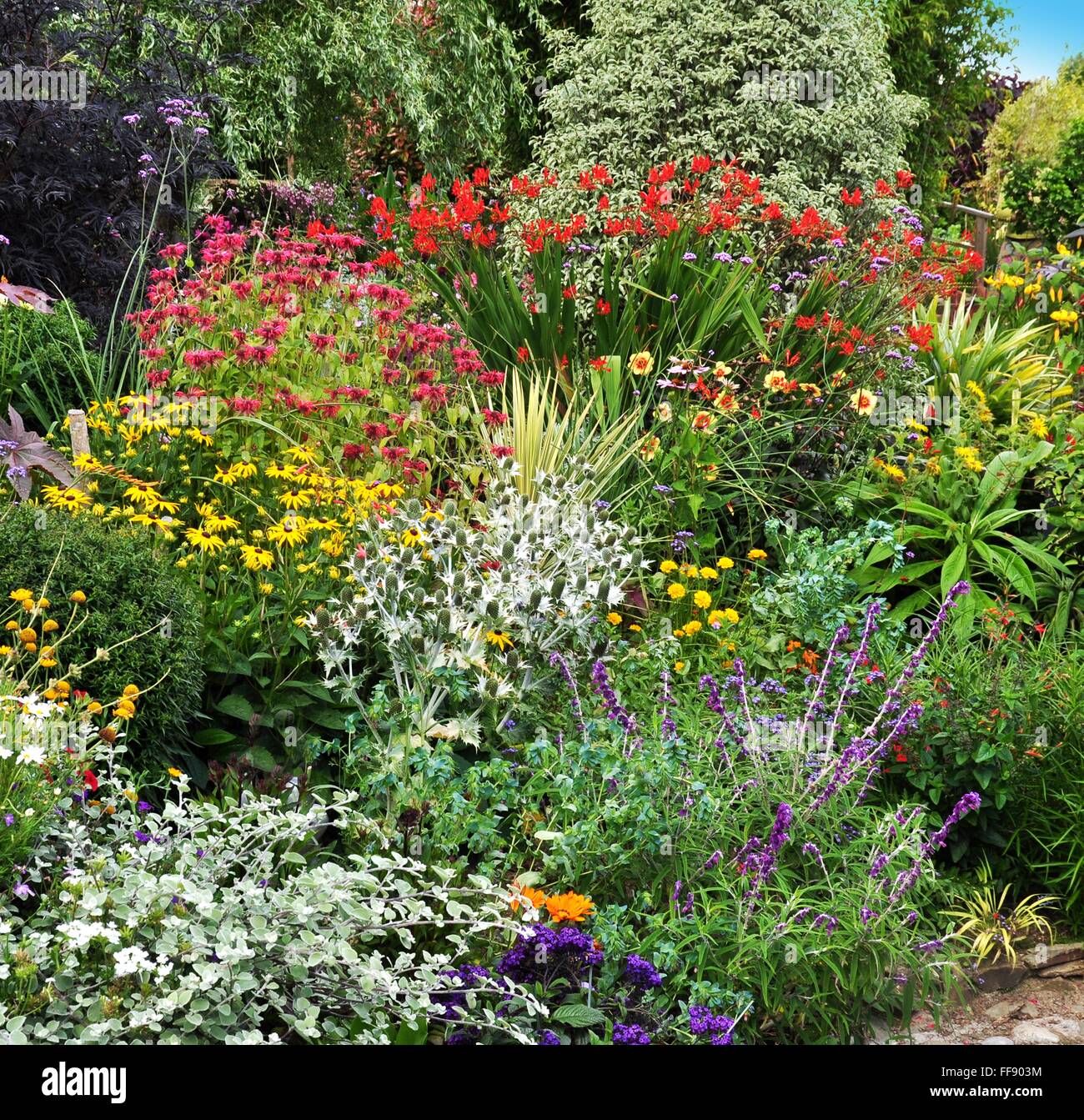 Garden in bloom. Flowers in a garden setting Stock Photo - Alamy