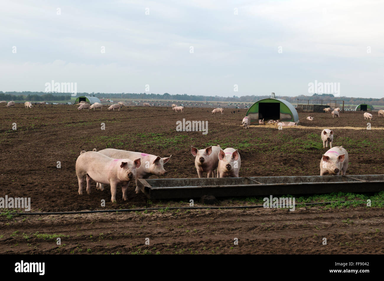 Farming agriculture outdoor landscapes hi-res stock photography and ...