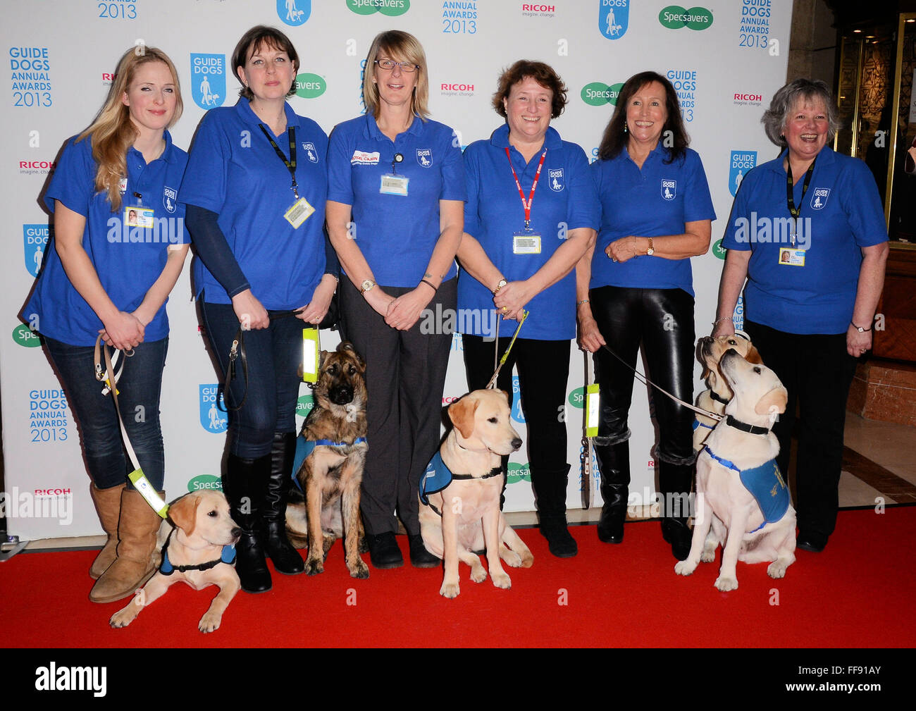 London, UK. 111213. Guide dogs and trainers at The Guide Dog of the ...