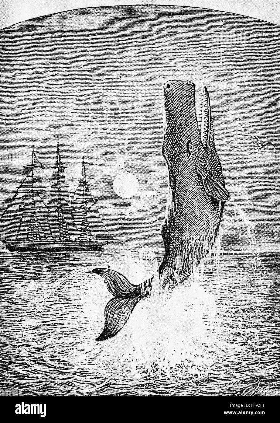 MELVILLE: MOBY DICK. /nThe only known picture of 'Moby Dick' drawn ...