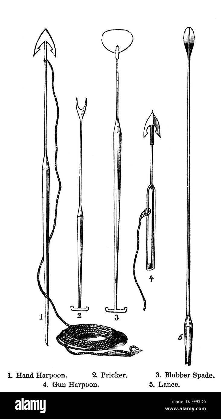 WHALING IMPLEMENTS, 1850. /nA collection of tools used to capture and ...