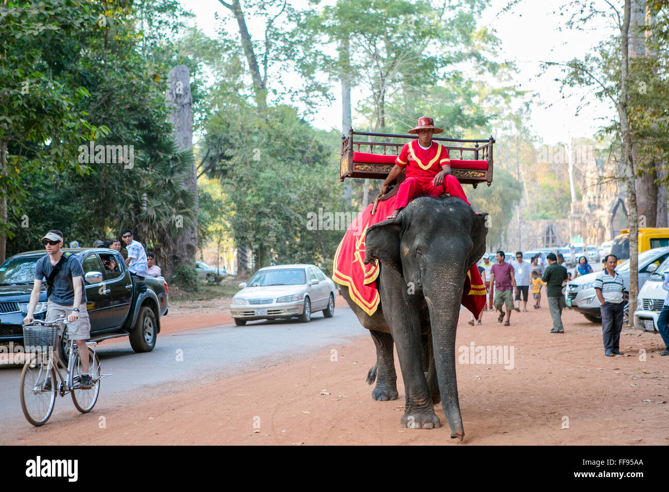Elephant walking on the street hi-res stock photography and images - Alamy