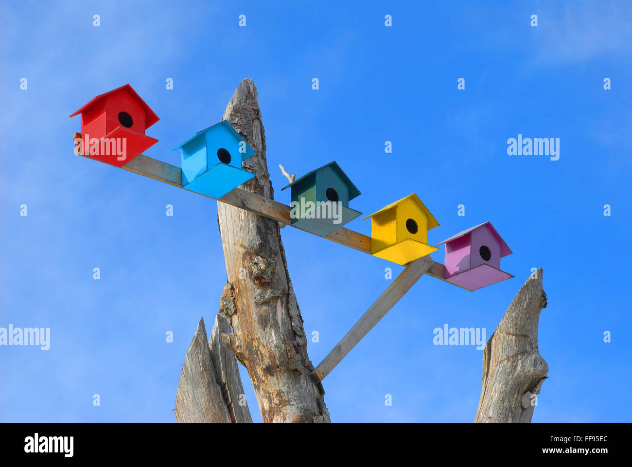 Colorful bird houses hi-res stock photography and images - Alamy