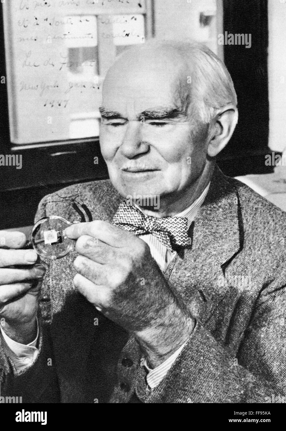 LEE DE FOREST (1873-1961). /nAmerican inventor Stock Photo - Alamy