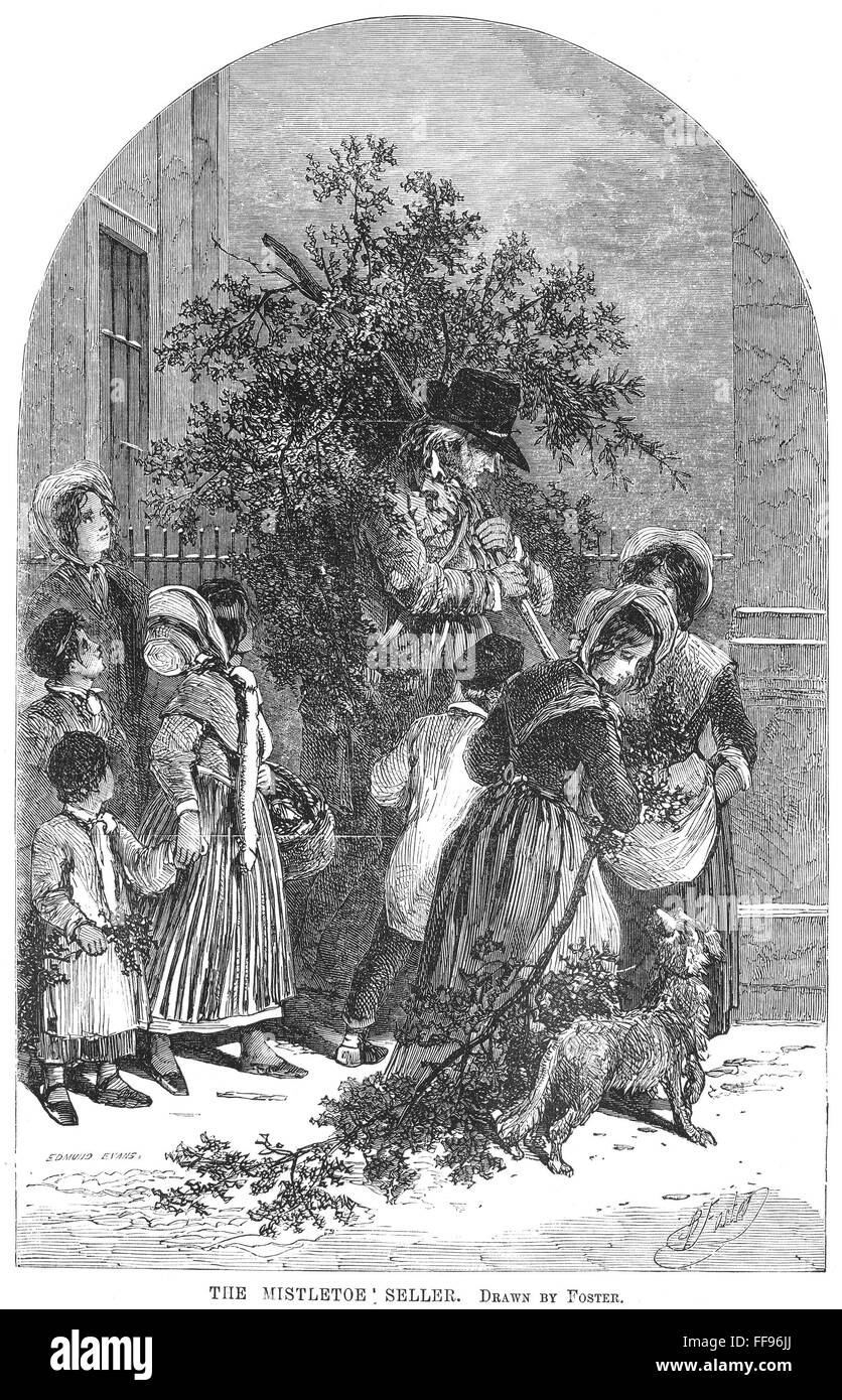 English mistletoe hi-res stock photography and images - Alamy