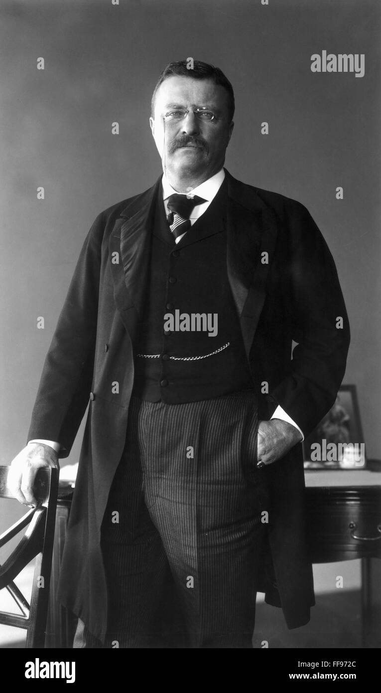 THEODORE ROOSEVELT /n(1858-1919). 26th President of the United States ...