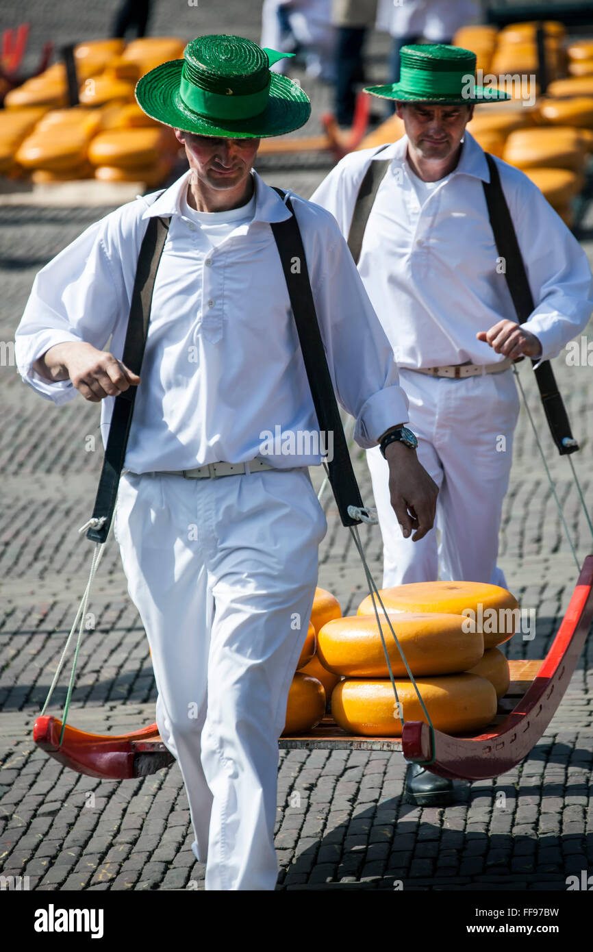 Cheese runners carrying cheese on sleds, Alkmaar Cheese Market, Holland ...