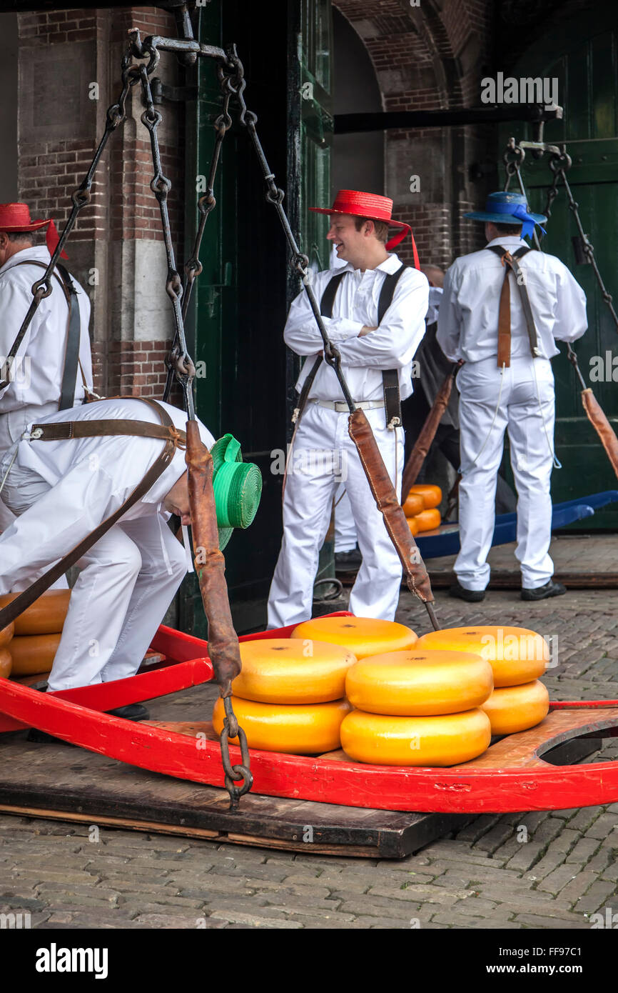 Cheese runner getting ready to lift sled off weigh station, Alkmaar ...