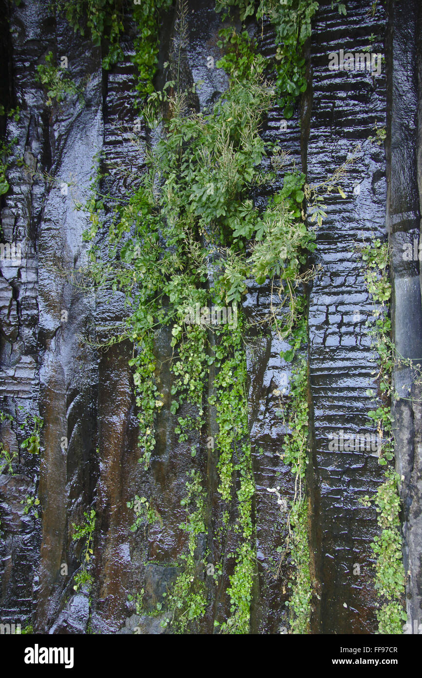 Dripping stones hi-res stock photography and images - Alamy