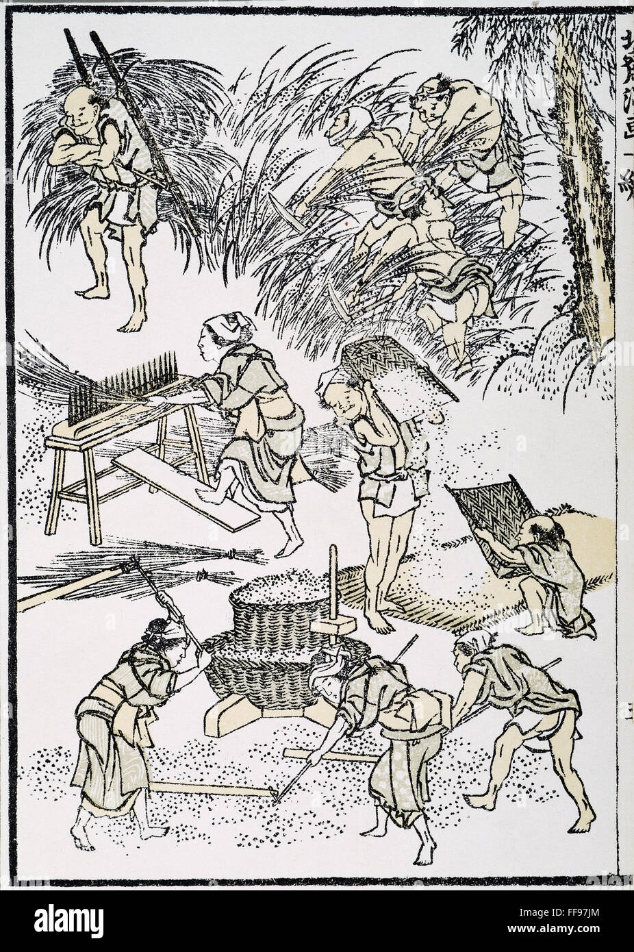JAPAN: RICE CULTURE. /nWoodblock print by Katsushika Hokusai (1760-1849 ...