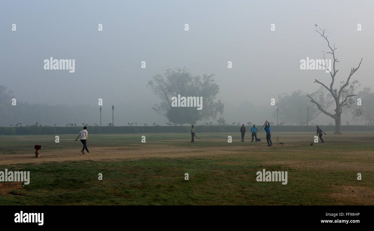 CRICKET IN MORNING FOG Stock Photo - Alamy