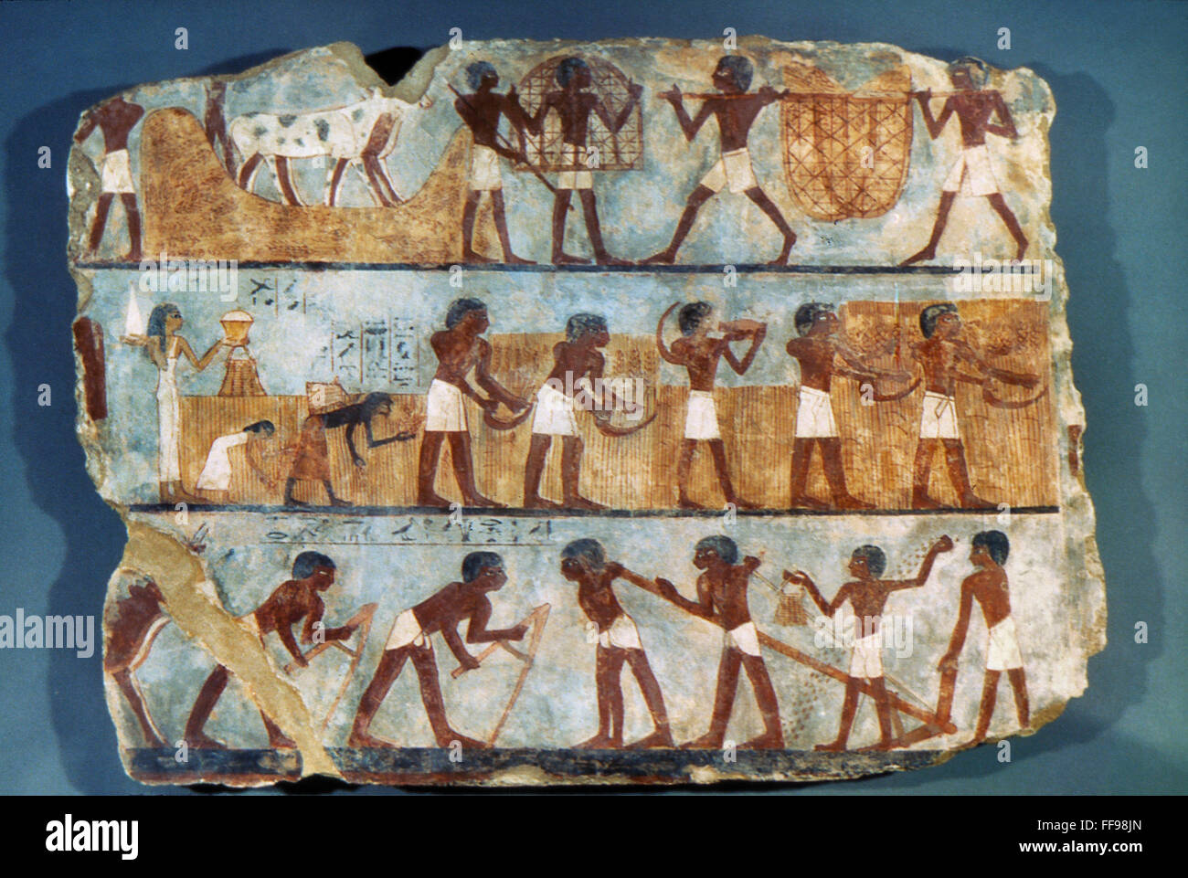 EGYPT: HARVESTING, 1450 B.C. /nHarvesting and field labor. Egyptian ...