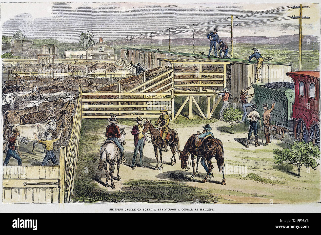 SHIPPING CATTLE, 1877. /nLonghorn cattle herded aboard a freight train ...