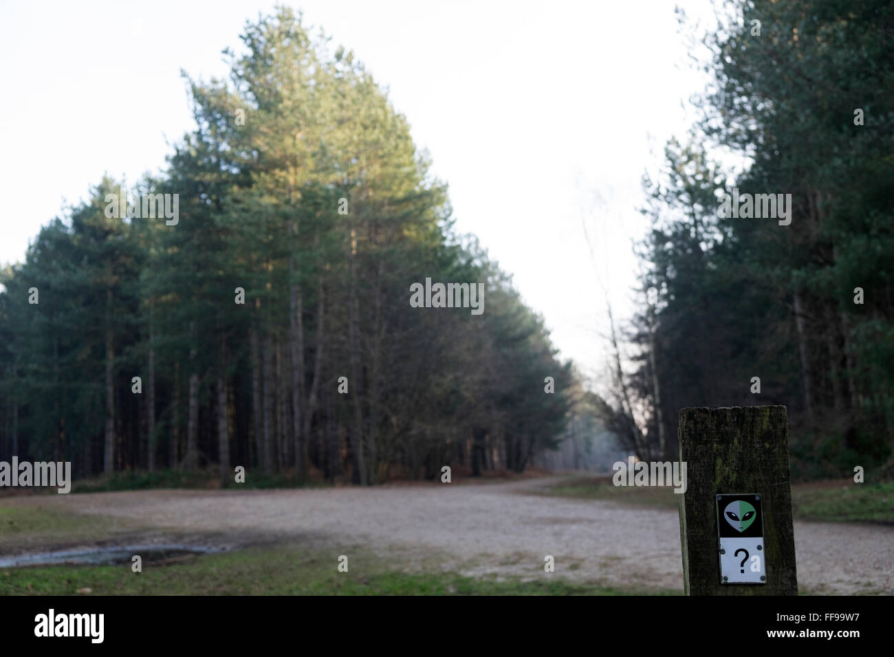 UFO trail Rendlesham forest Suffolk UK Stock Photo - Alamy