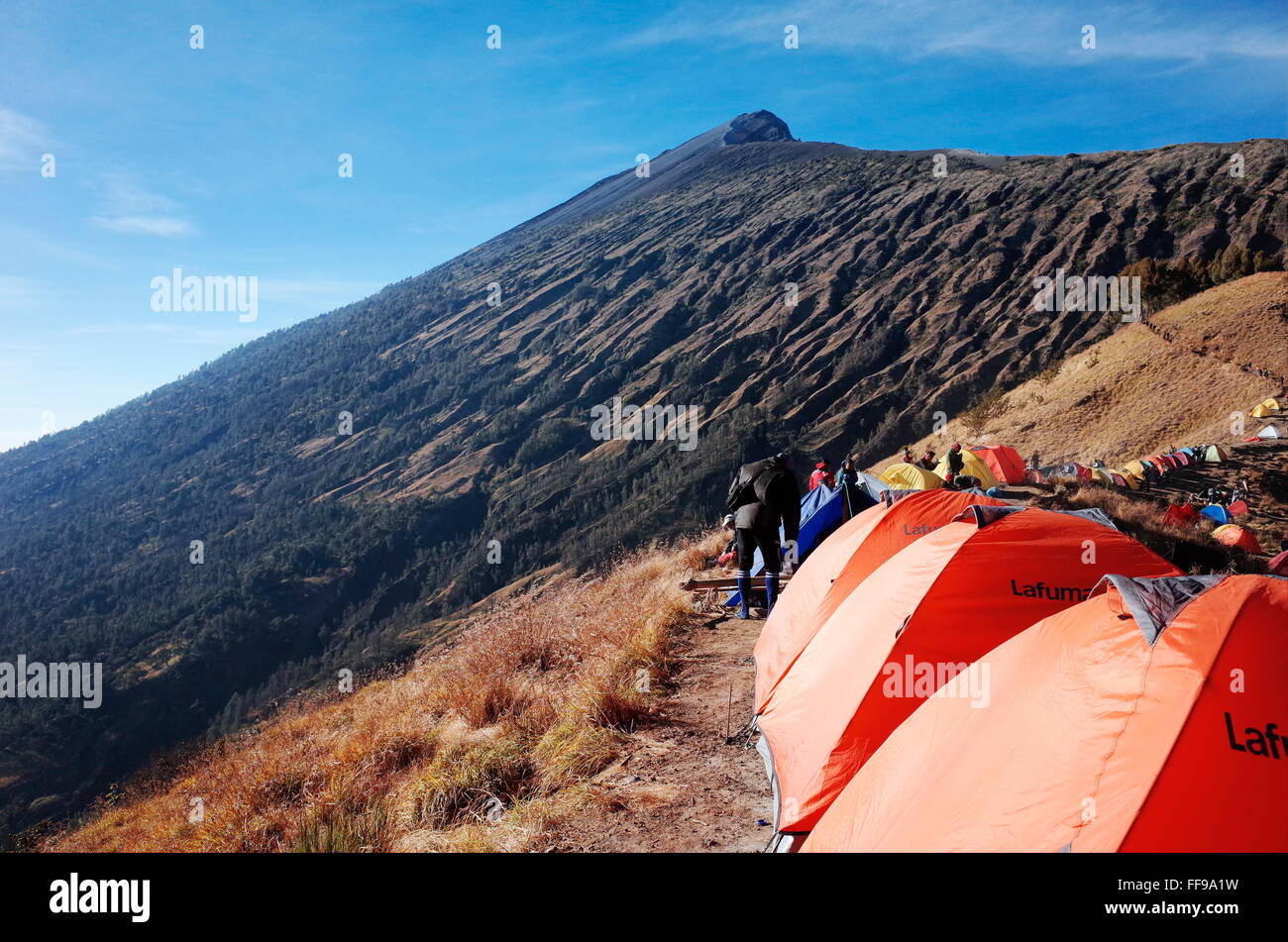 Hiking Mount Rinjani Stock Photo - Alamy