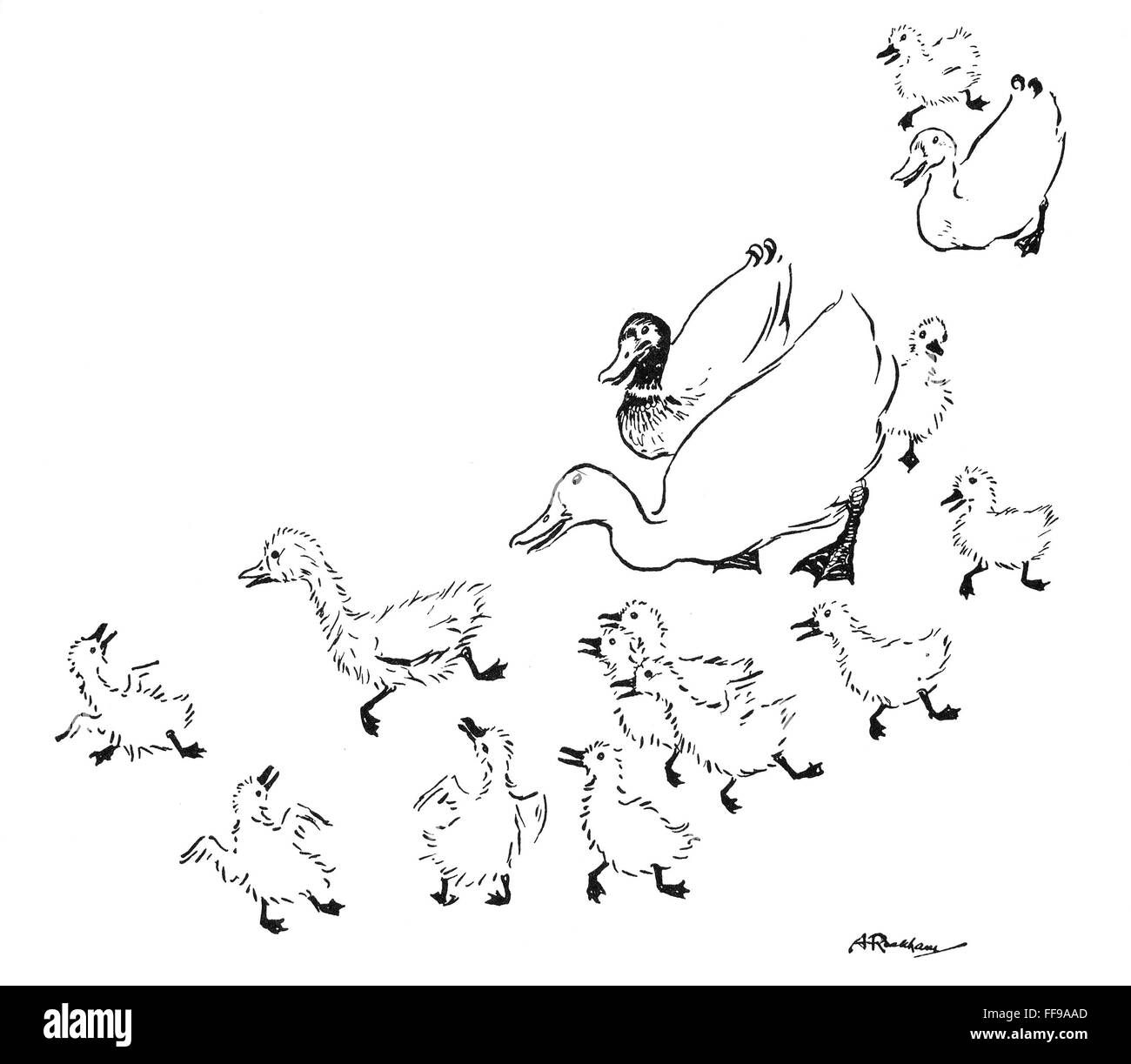 The ugly duckling illustration High Resolution Stock Photography and ...