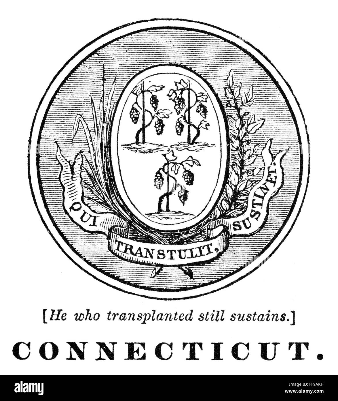 CONNECTICUT STATE SEAL. /nThe seal of Connecticut, one of the original ...