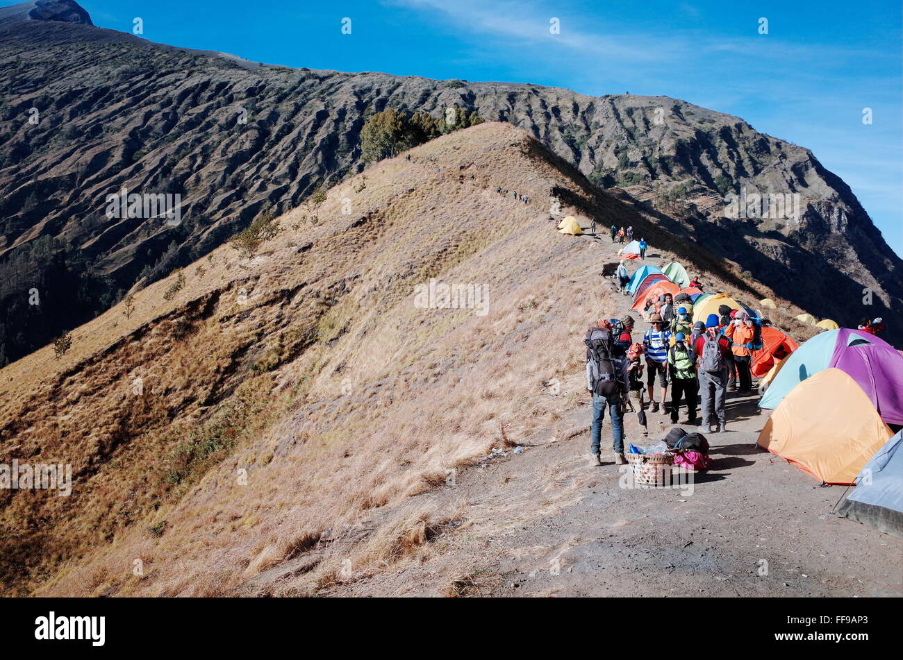 Hiking Mount Rinjani Stock Photo, Royalty Free Image: 95477707 - Alamy