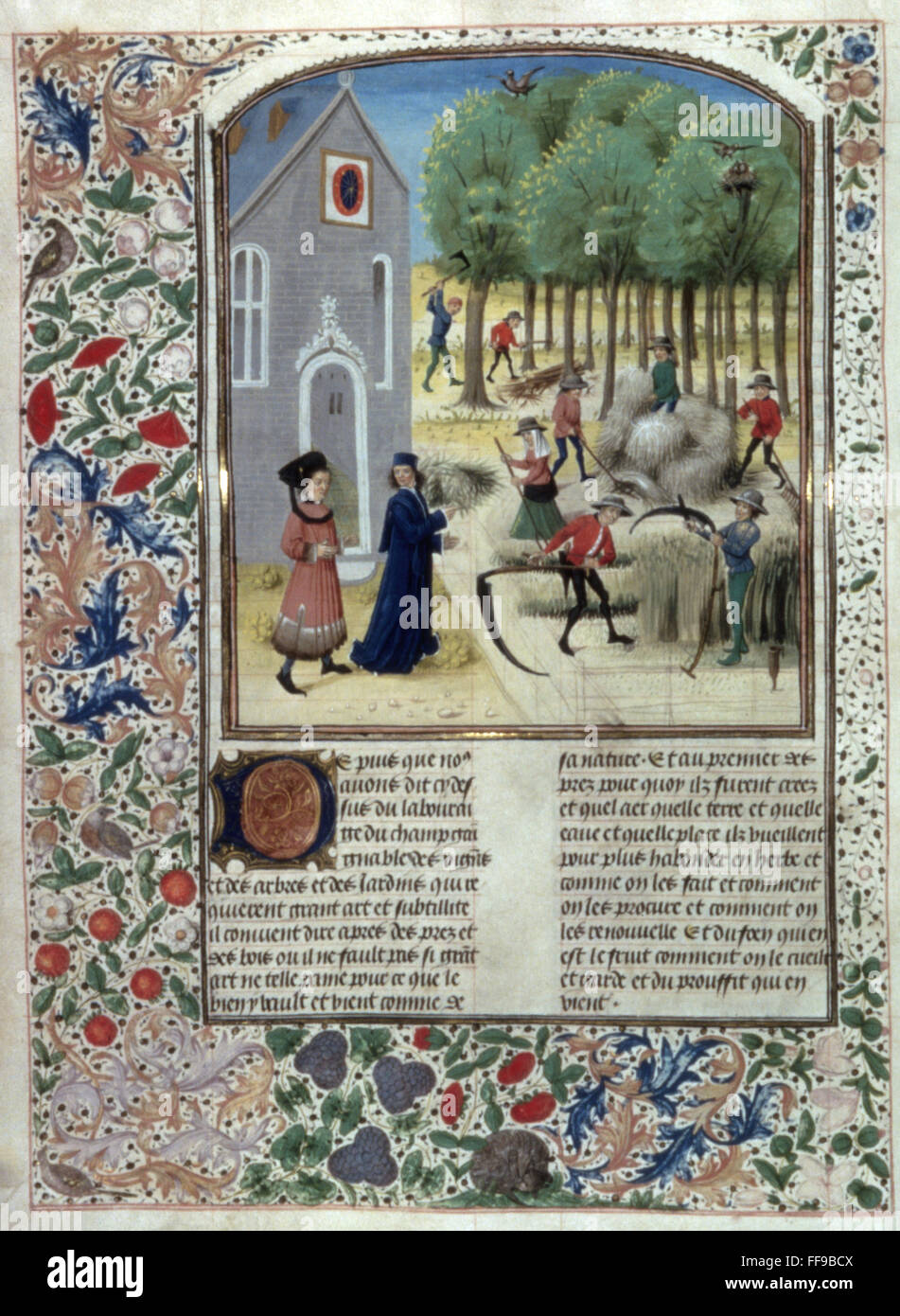 MEDIEVAL AGRICULTURE, 1470. /nCrescentius discussing values of trees ...