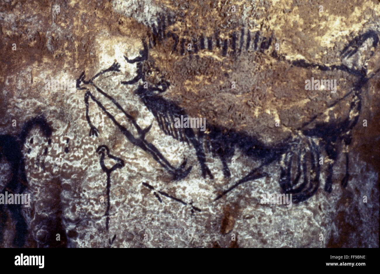 LASCAUX: BISON. /nWounded Bison and Bird-Headed Man from Lascaux ...