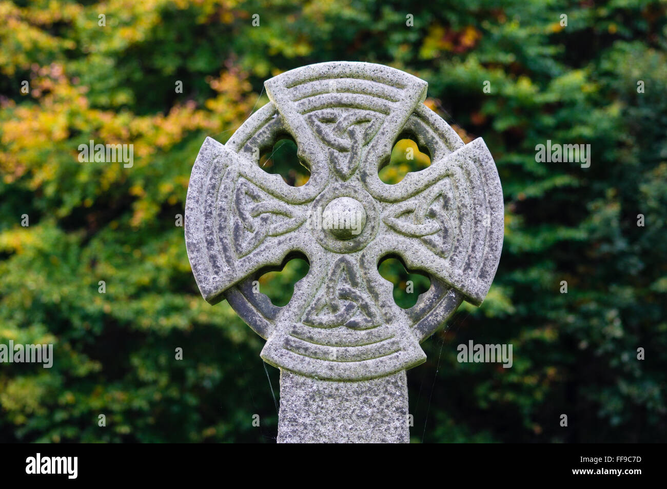 A Celtic cross headstone against tree foliage Stock Photo - Alamy