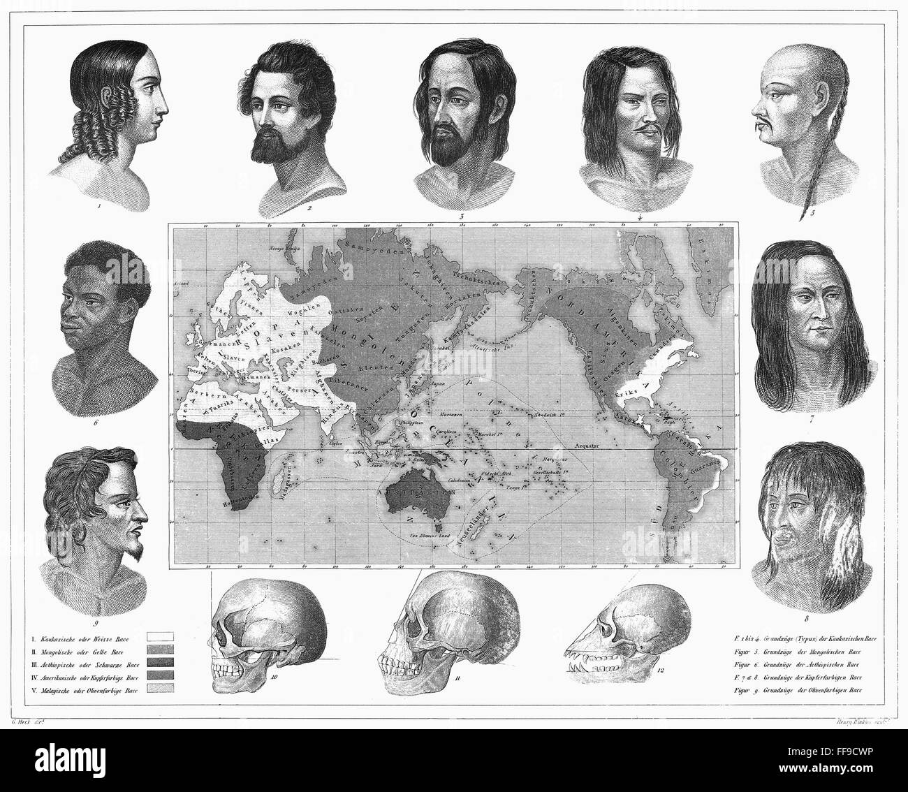 RACIAL TYPES, 19th CENTURY. /nGerman study of racial types, based on ...