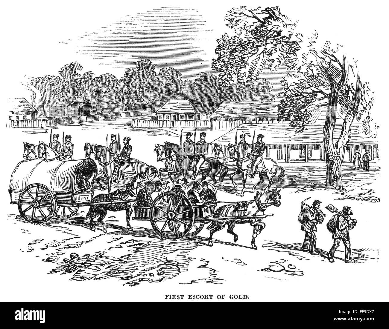 AUSTRALIAN GOLD RUSH, 1852. /nTransportaing gold at Ballarat, Australia ...