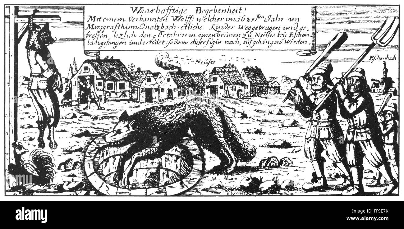 WEREWOLF, 1685. /nThe werewolf of Eschenbach, Germany, trapped in a ...
