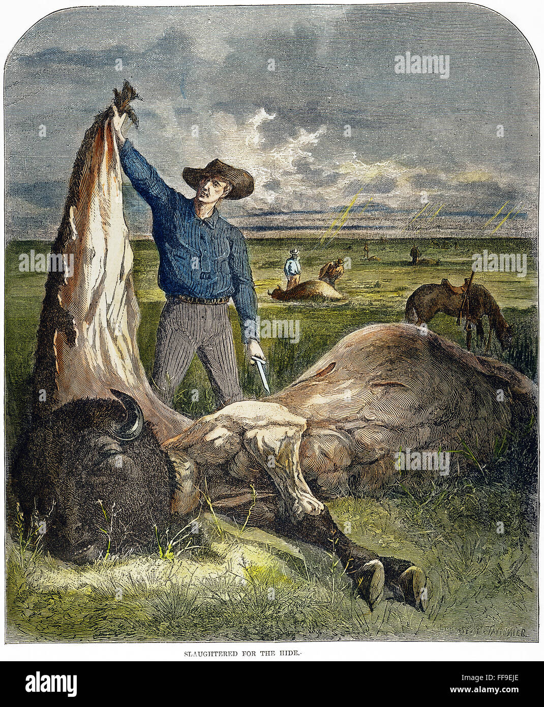 BUFFALO SKINNERS, 1874. /n'Slaughtered for the Hide.' Buffalo skinners ...
