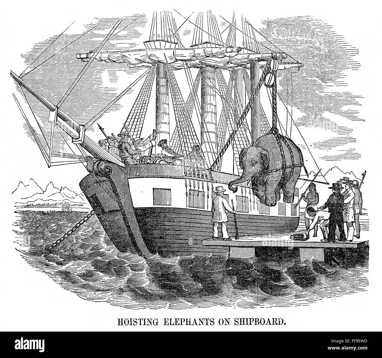 ELEPHANT HOIST. /nHoisting an elephant onto a ship. Wood engraving ...
