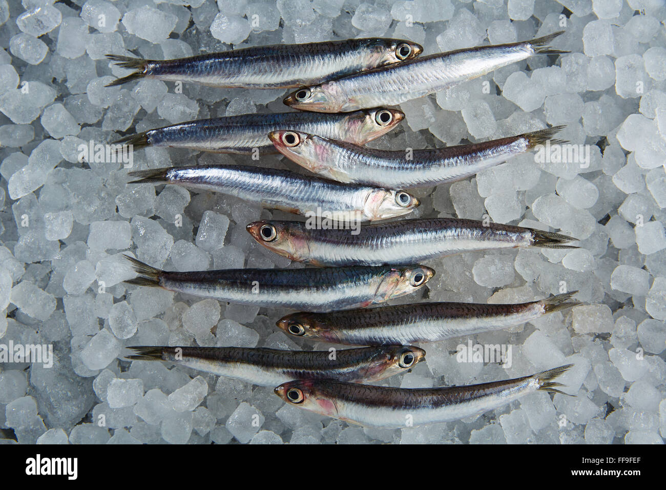 Fresh fishes on market stand hi-res stock photography and images - Alamy