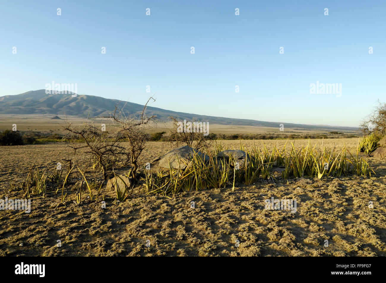 Mount Makarot at Olduvai Camp Stock Photo - Alamy