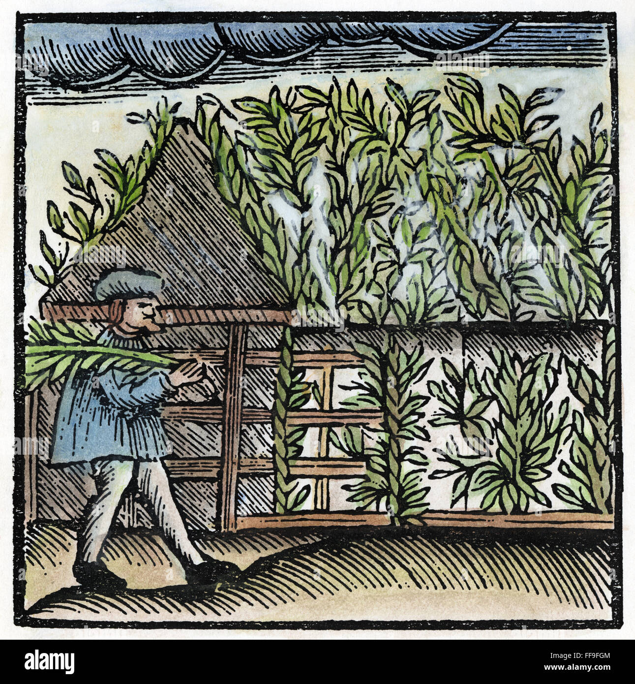 JEWISH HOLIDAY, 1663. /nBuilding the bower for Sukkot, the Jewish ...