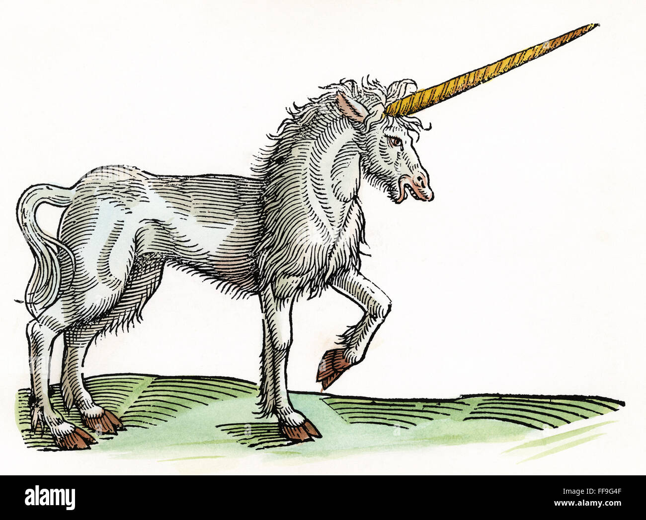 Beast footed hi-res stock photography and images - Alamy