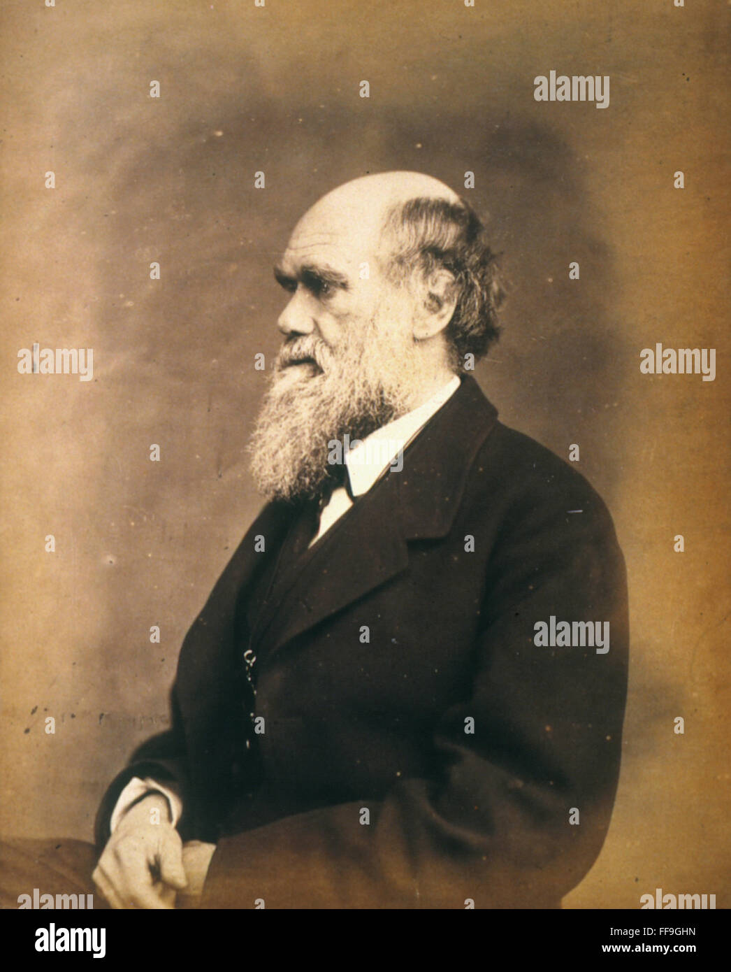 CHARLES ROBERT DARWIN /n(1809-1882). English naturalist. Photographed ...