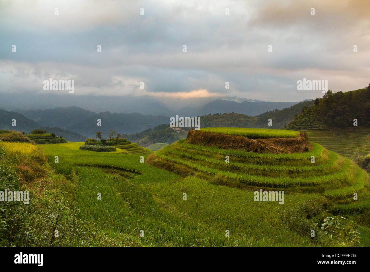 Dragon Backbone Rice Terraces. Guilin. China Stock Photo - Alamy