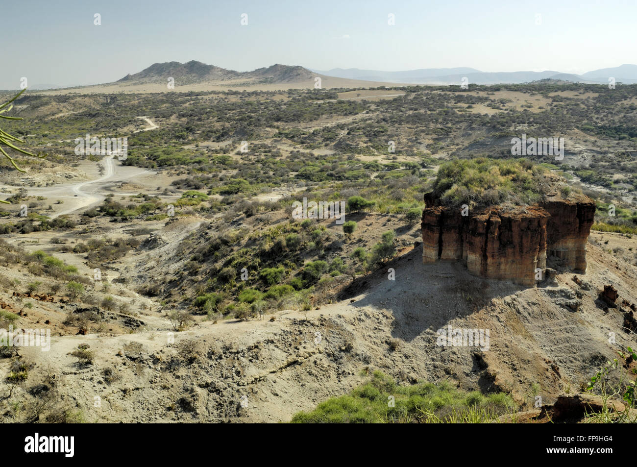 Olduvai gorge hi-res stock photography and images - Alamy