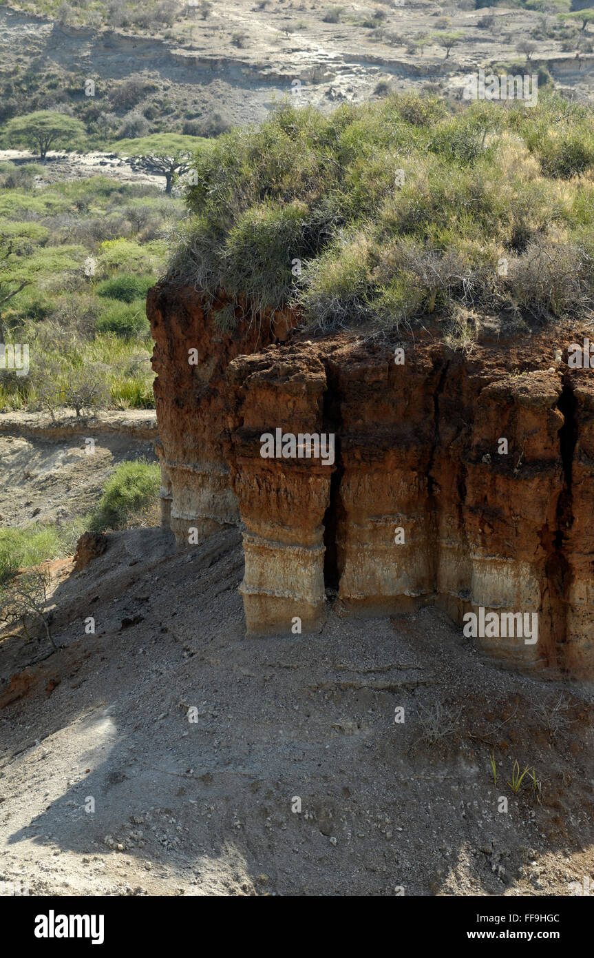 Olduvai gorge hi-res stock photography and images - Alamy