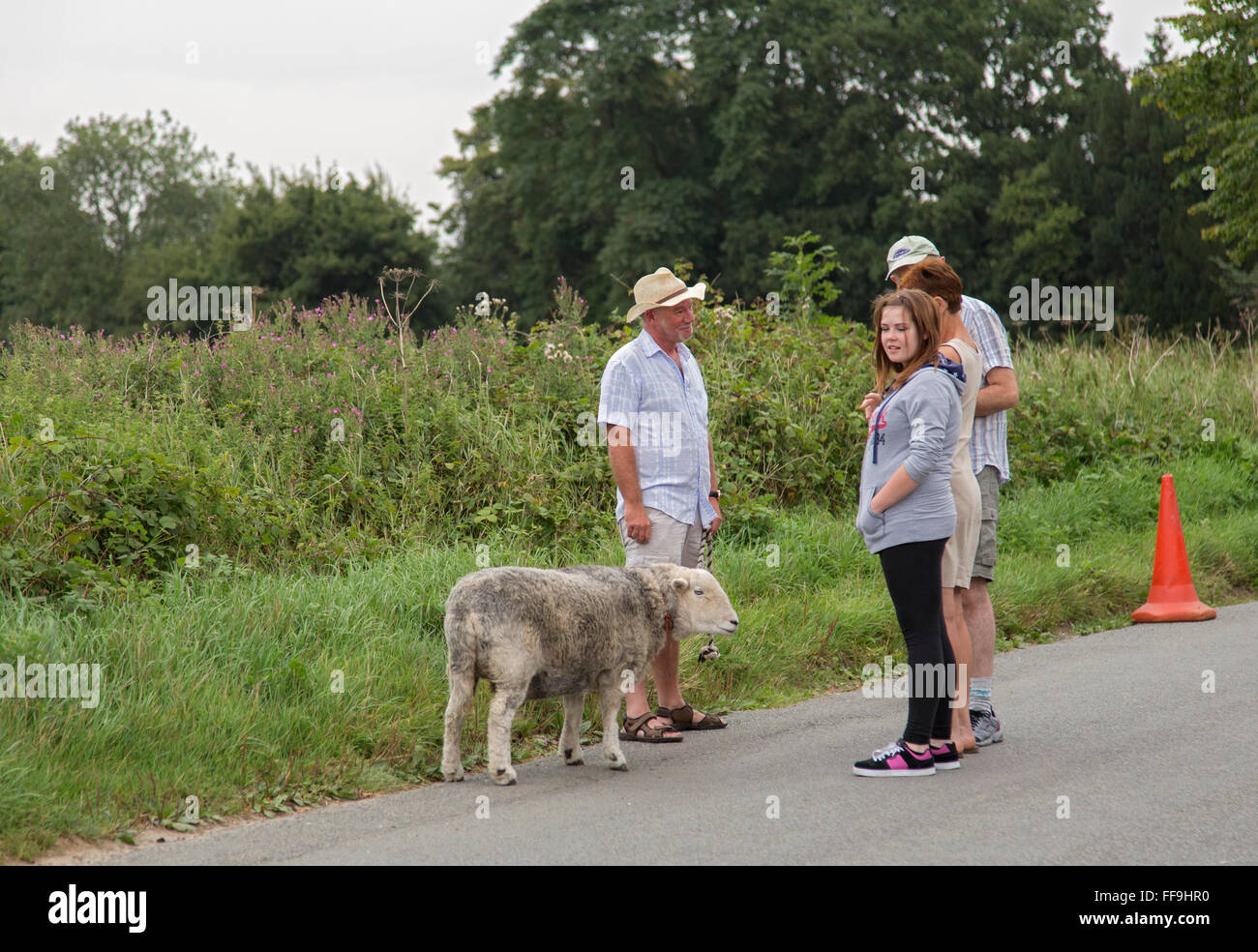 The man with a sheep Stock Photo - Alamy