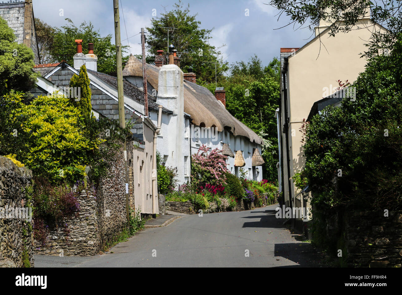 Thatch cottages, Ringmore, Devon, England Stock Photo - Alamy